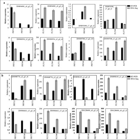 Relative Gene Expression Of Eight Randomly Selected Genes A B Gene