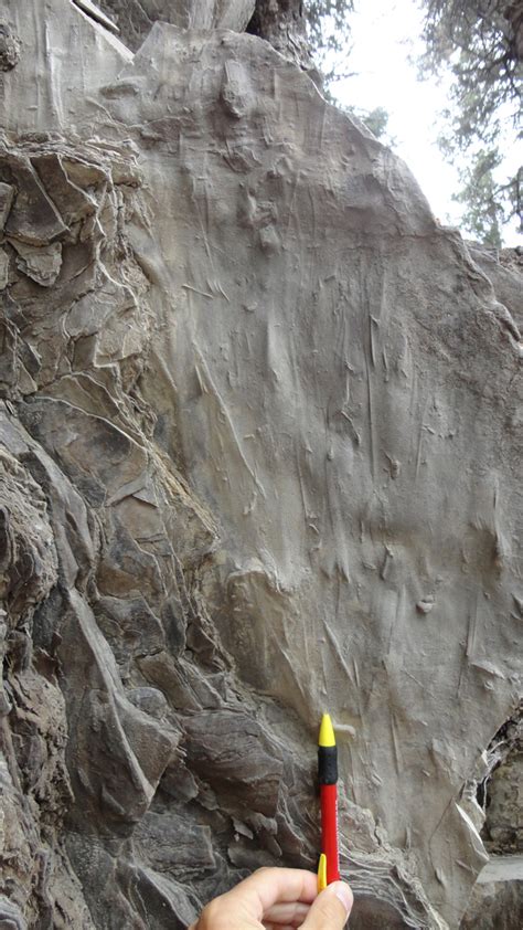 Chapter 4 Sedimentary Structures The Story Of Earth