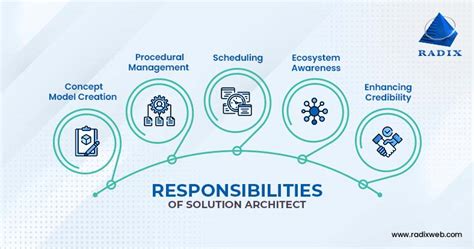 Solutions Architect: Role, Responsibilities and Importance