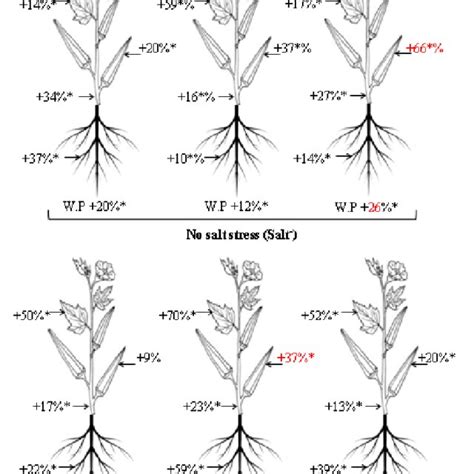 Scheme Representing The Effects Of Silicic Acid Si And Or Potassium Download Scientific