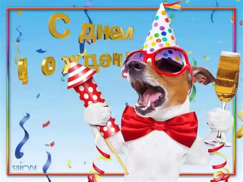 Упоротое поздравление с днем рождения 69 фото
