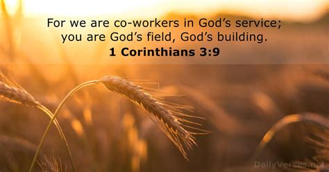 100 Bible Verses about 'God’s' - NIV & NASB - DailyVerses.net