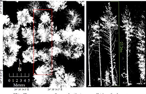 Figure 1 From An International Comparison Of Individual Tree Detection