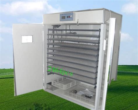 2464pcs Medium Egg Hatcher Chicken Egg Hatcherduck Egg Hatching