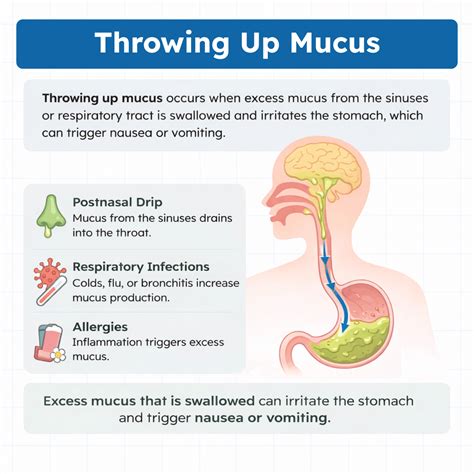 Throwing Up Mucus Causes Symptoms And What It Means