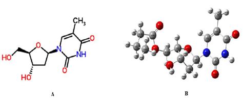 Thymidine Structure Thymidine Pyrimidine Deoxynucleoside Royalty Free