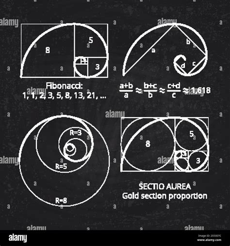 Scheme Of Golden Ratio Section Fibonacci Spiral On Blackboard Vector Illustration Geometric