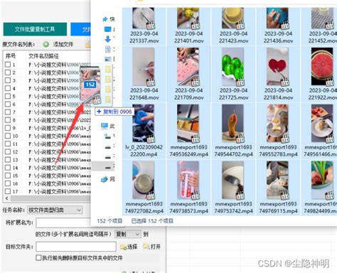 告别文件混乱！自动归类让您的视频文件管理更高效 本地视频怎么分类管理 csdn博客