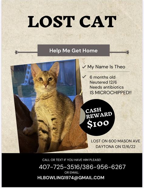 please help me find my dude r daytonabeach