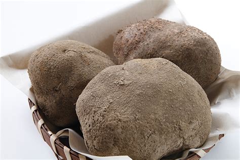 栄養たっぷり山の芋の魅力 大和万葉の里 堤農園