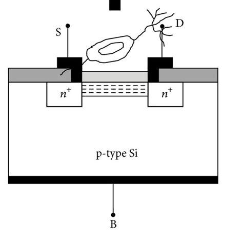 A Schematic Representation Of A Field Effect Transistor Fet B Download Scientific