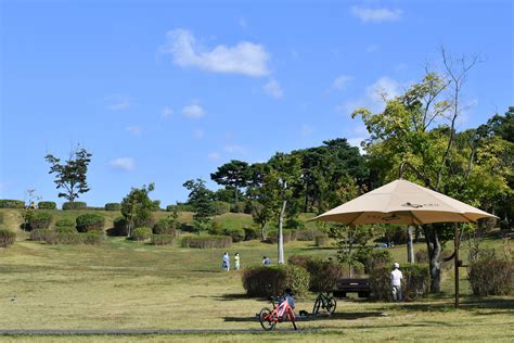 수원 광교 놀거리 데이트 코스 추천 광교호수공원 피크닉 장소 추천드려요 수원 광교 놀거리 데이트 코스 추천