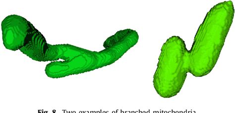 Figure 8 From Automatic Segmentation And Reconstruction Of