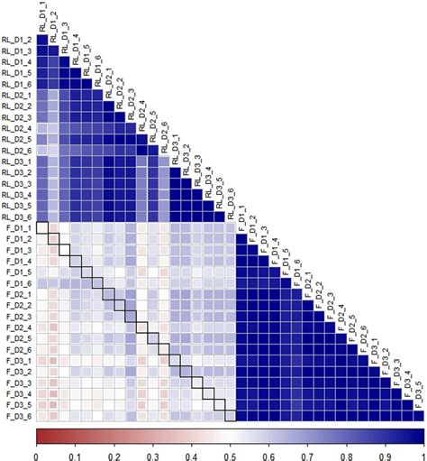 Correlation Heatmap Representing Correlations Correlation Heatmap
