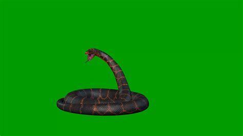 超过 7 个关于“sviluppo Python”和“python”的免费视频、高清及 4k 视频片段 Pixabay