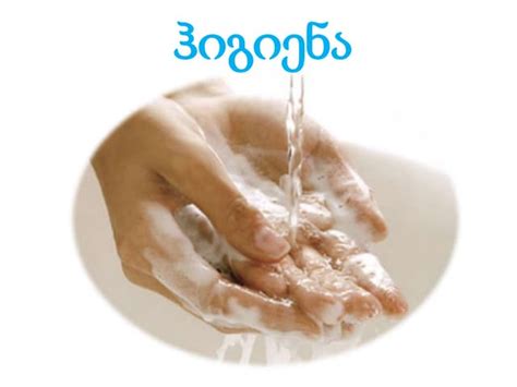 ჰიგიენა Ppt