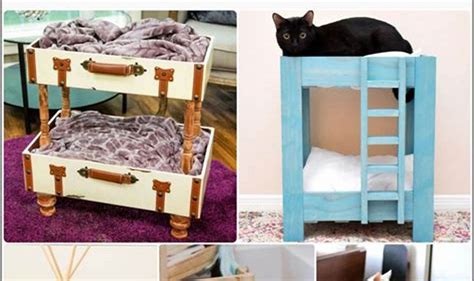 Easy Diy Cat Bed Ideas Perfect And Comfy Cat Beds