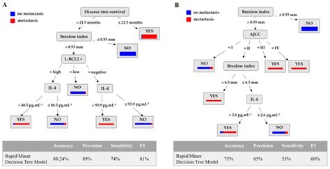 The Rapidminer Decision Tree Model Used To Predict The Development Of