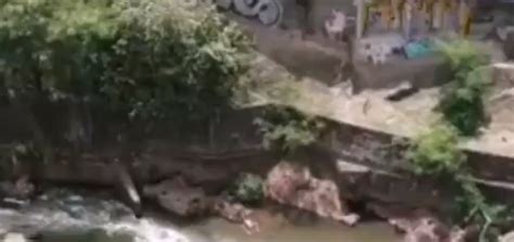 Pareja no se aguantó el aislamiento y terminó teniendo sexo en un río y a plena luz del día