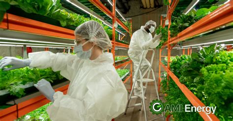 The Growing Need For Controlled Environment Agriculture