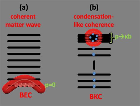 Schematic Diagrams Illustrating The Basic Differences And Innate Download Scientific Diagram