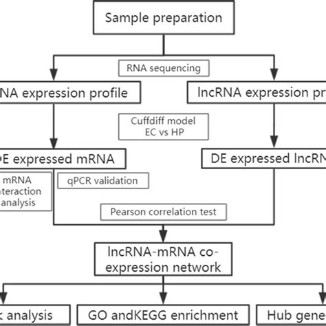 Flowchart Of The Analysis Procedure Lncrna Long Non Coding Rna Ec Download Scientific