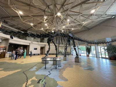 Utah Field House Of Natural History State Park Museum