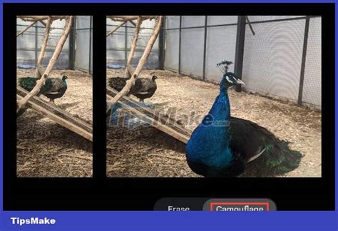 How To Remove Subjects In Photos On Google Photos