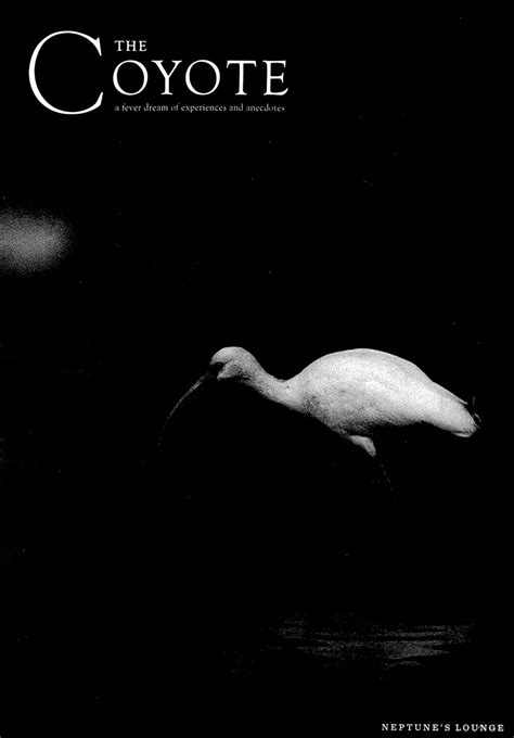 The Coyote｜外文书｜海外其他分类｜有店网路书店