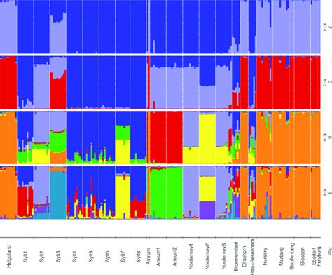 A Barplot Representation Of Structure Pritchard Et Al 2000 Sample Download Scientific