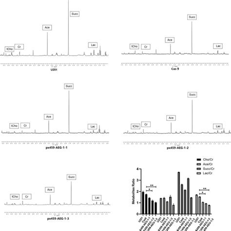 1 H Mrs Spectra Of The Five Cell Lines Metabolites Labelled Are As