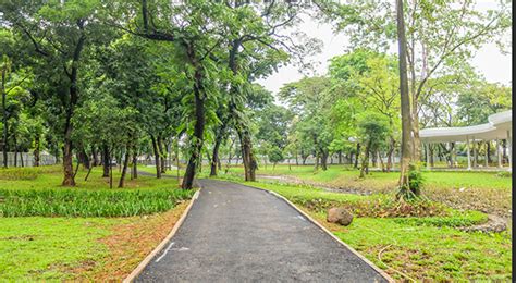 Forest Buffer Tebet Eco Park