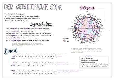 Der Genetische Code Einfach Erklärt 6 Wichtige Eigenschaften Und Mehr