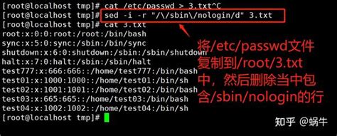 Linux三剑客之sed 知乎