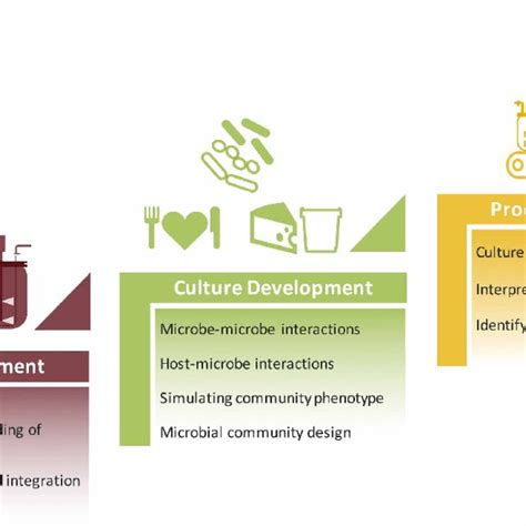 Potential Applications Of Constraint Based Modeling In Microbial Food