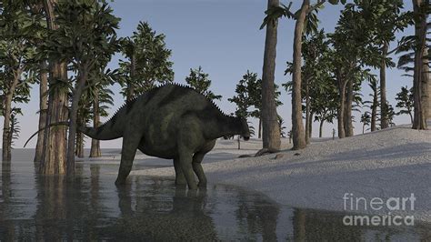 Brachytrachelopan Pictures And Facts The Dinosaur Database