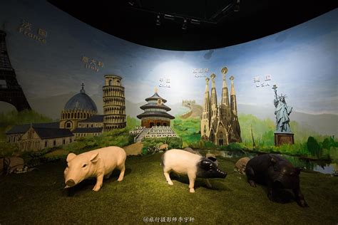 2025火腿博览馆游玩攻略中国火腿博览馆和世界火腿博【去哪儿攻略】