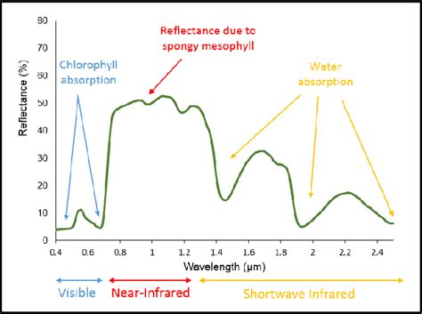 Figure From Crop Discrimination Using Non Imaging Hyperspectral Data Semantic Scholar