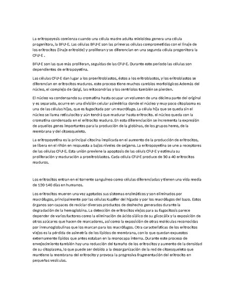 Estructura De Los Eritrocitos La Eritropoyesis Comienza Cuando Una Célula Madre Adulta