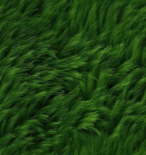 Page 7 31000 Generative Grass Texture Pictures