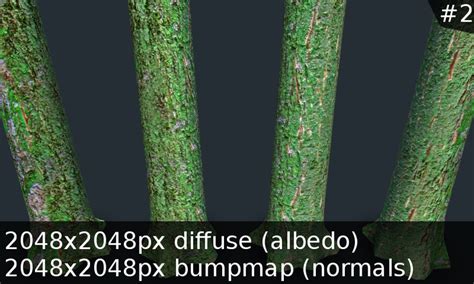 Tree Bark Texture Package