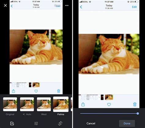 9 Best Tips To Edit Photos In Google Photos TechWiser