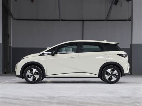 Byd 돌핀 Ev Suv 새로운 전기차 Ev 자동차 2023 버전 스팟 도매 수출 무역 중국의 자동차