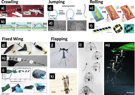 Terrestrial And Aerial Locomotion Visual Summary A A Pneumatically Download Scientific