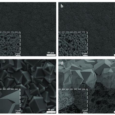 A SEM Images Of MPPM B SEM Images Of The MPPM PDA PEI C SEM Download Scientific Diagram