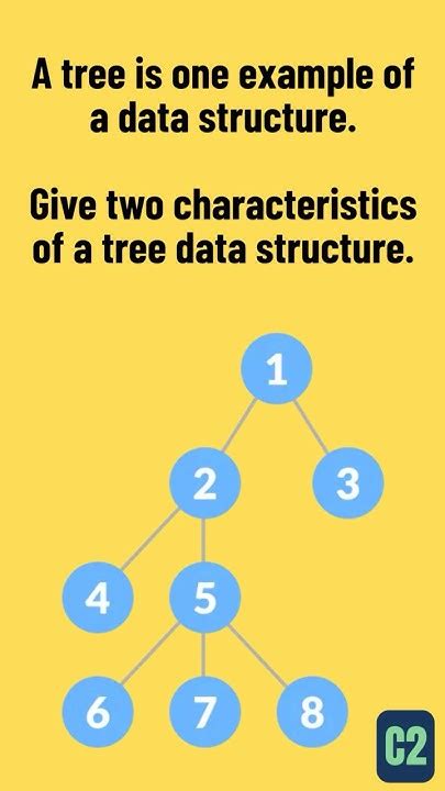 Tree Data Structure Alevel Computerscience Exam Revision Algorithms Programming Youtube