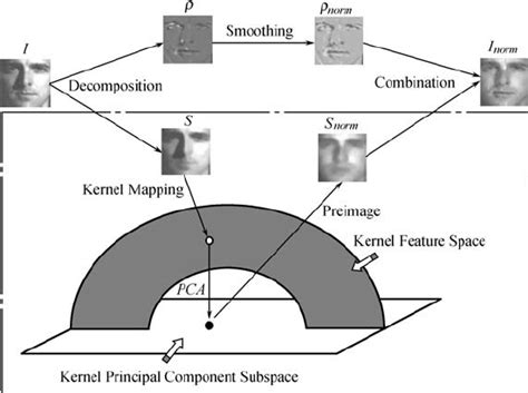 5 Diagram Of The Kpcapre Image Based Method For Illumination Download Scientific Diagram