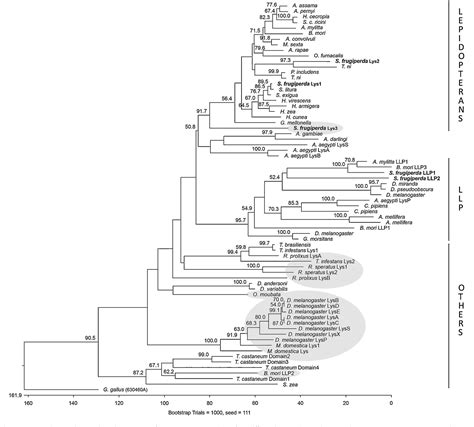 Codeine Phosphate 2 Mg Ml Guaifenesin 20 Mg Ml Oral Solution Semantic Scholar