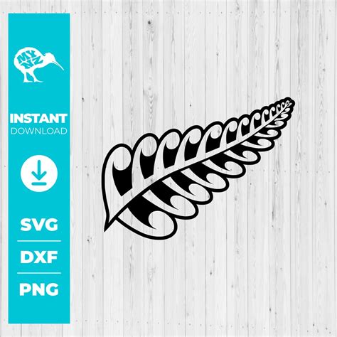 Koru Fern Svg New Zealand Spiral Fern Art Polynesian Botanical Design